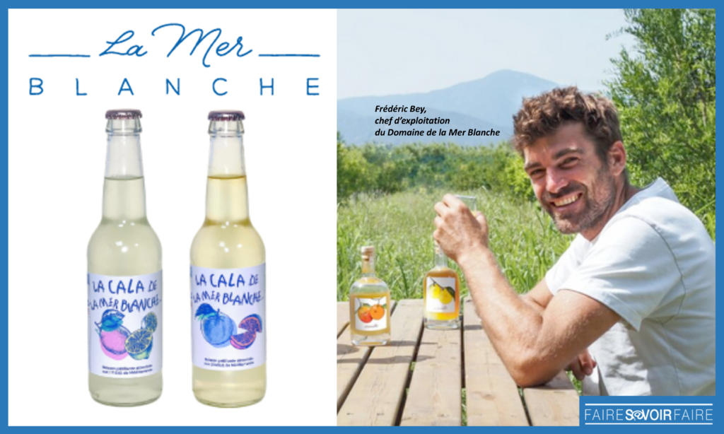 Les Calas, 2 nouvelles boissons pétillantes aux agrumes peu alcoolisées ...